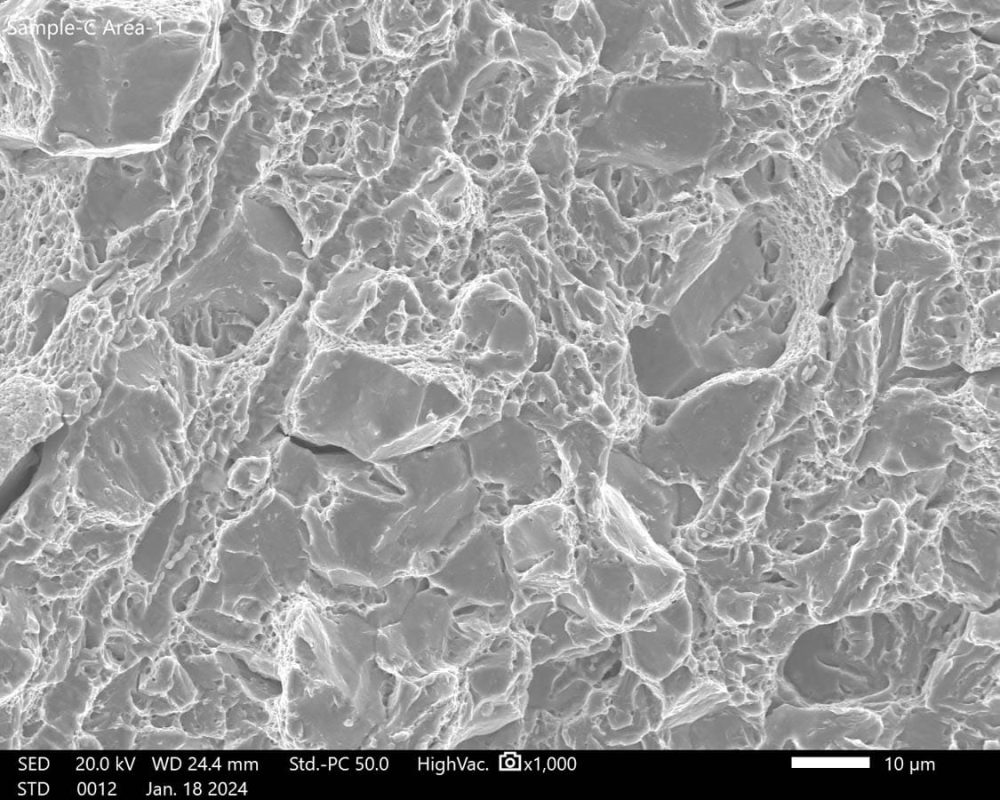 Field Emission Scanning Electron Microscopy - Micron Inc Analytical ...