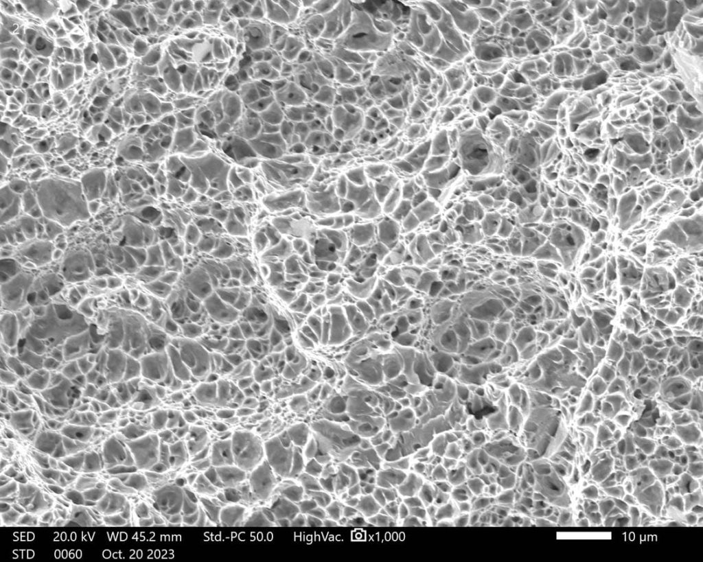 Field Emission Scanning Electron Microscopy - Micron Inc Analytical ...