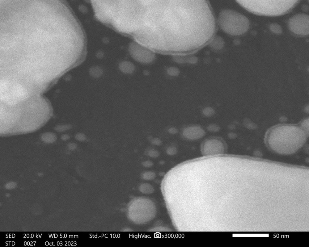 Field Emission Scanning Electron Microscopy - Micron Inc Analytical ...
