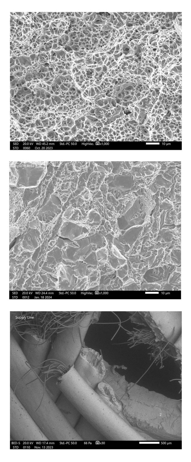 Field Emission Scanning Electron Microscopy - Micron Inc Analytical Services Lab