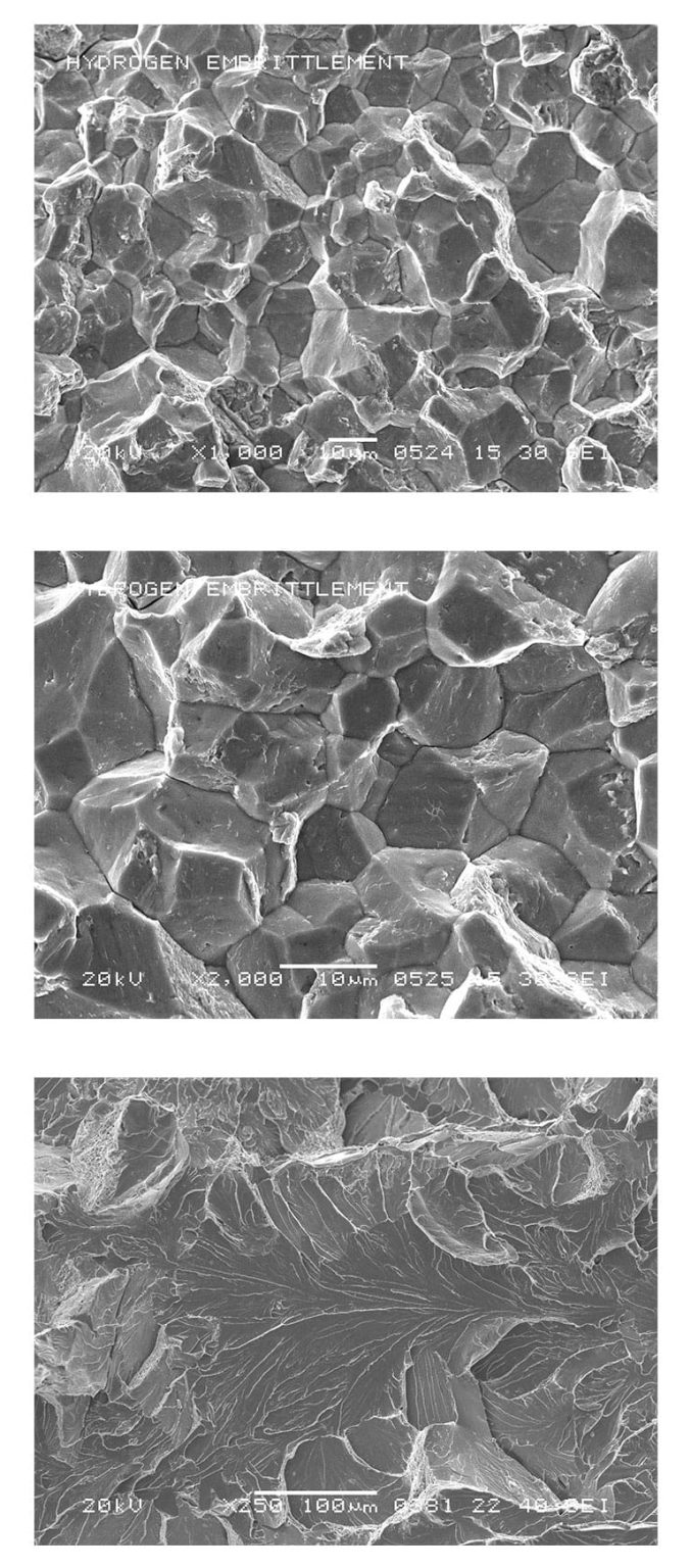 Scanning Electron Microscopy - Micron Inc Analytical Services Lab